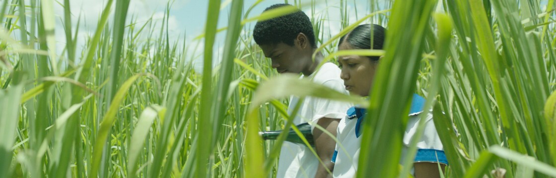 Green Days by the River (2017) | FilmTV.it